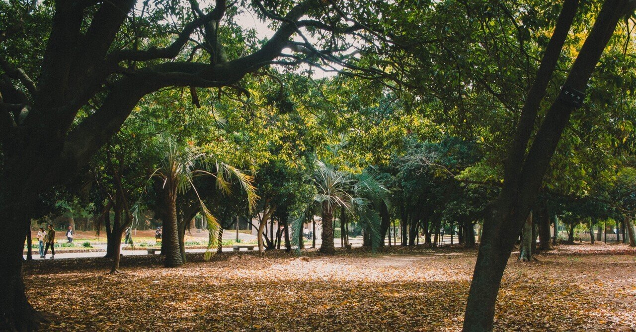 2000年代初期のコンデジがまだイケてる件について｜Shotaro Kusaka