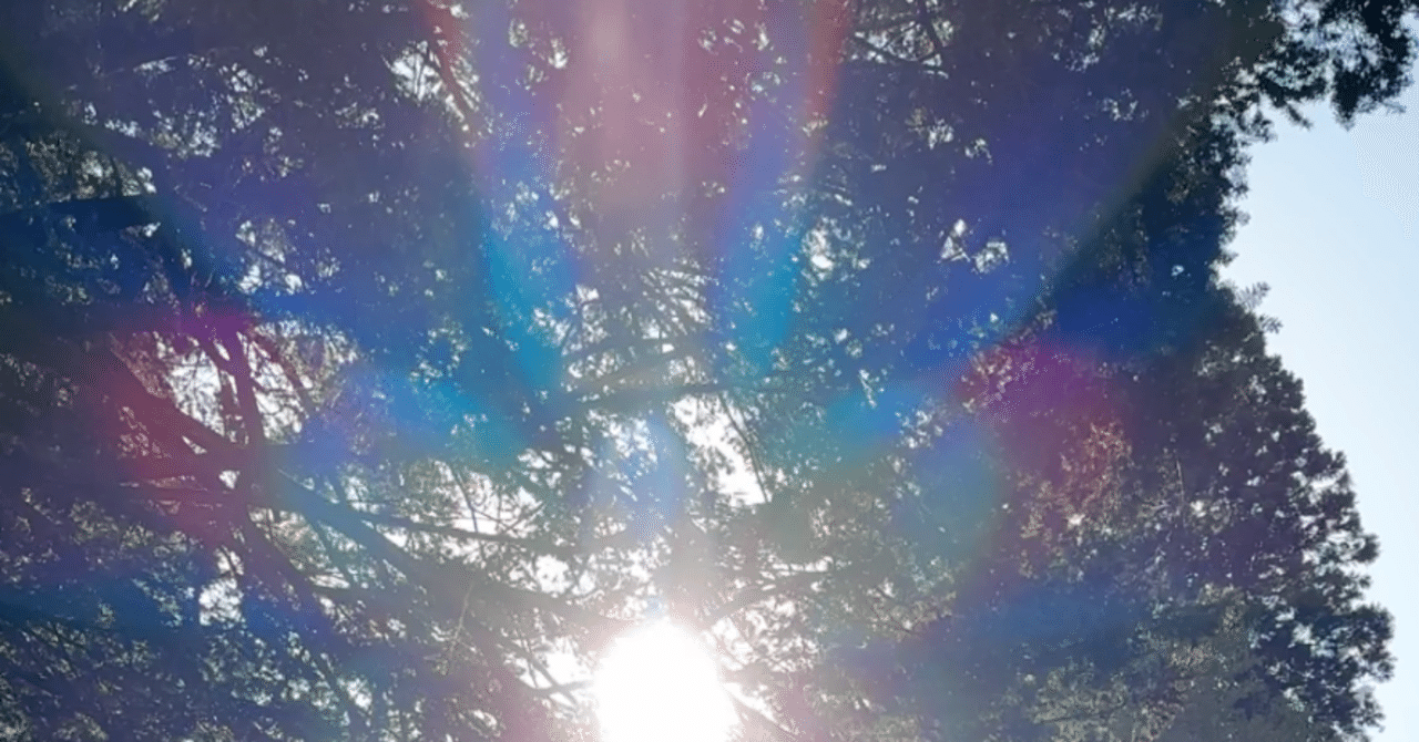 5月の朝｜Chie coco