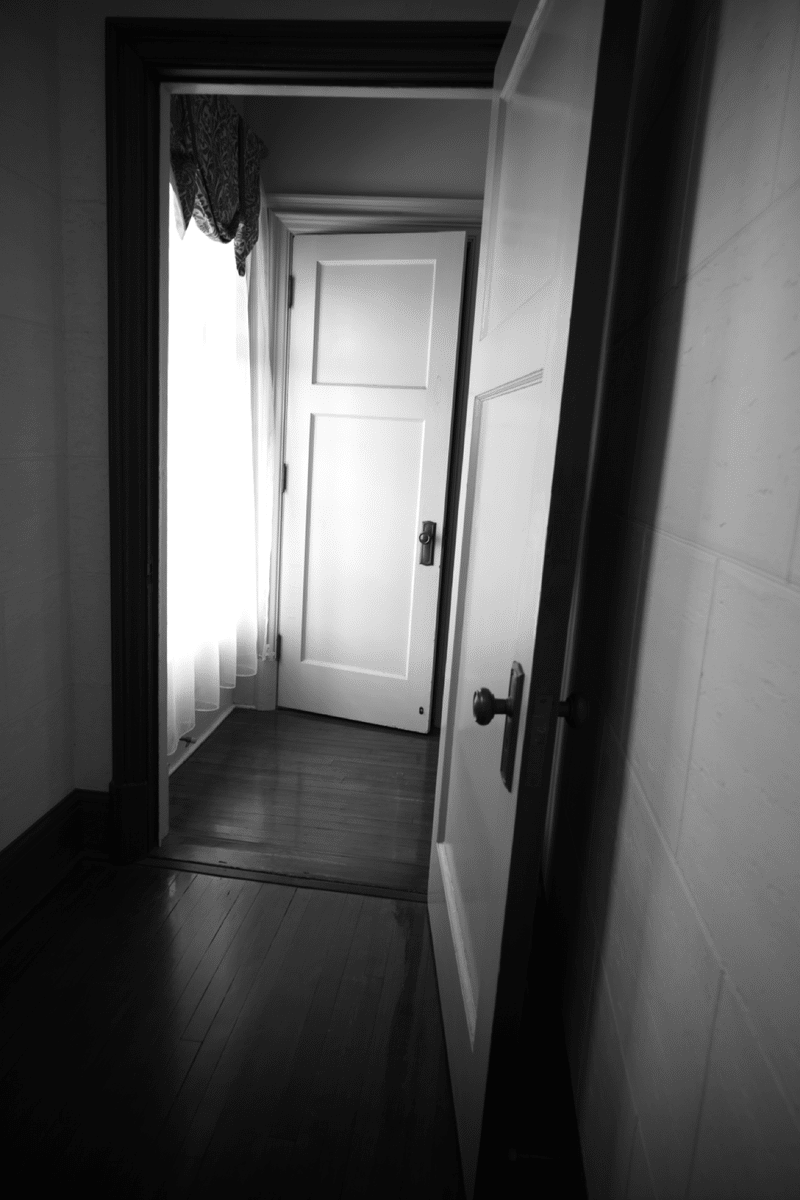 Carl Zeiss C Biogon ｜shirasu camera