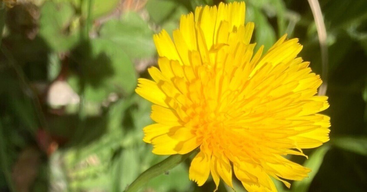 ふと・・・思う｜poporin