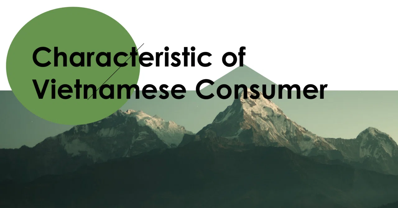 講演5＠ハノイ・ホーチミン日本商工会編 Characteristic of Vietnamese Consumer｜Lisle