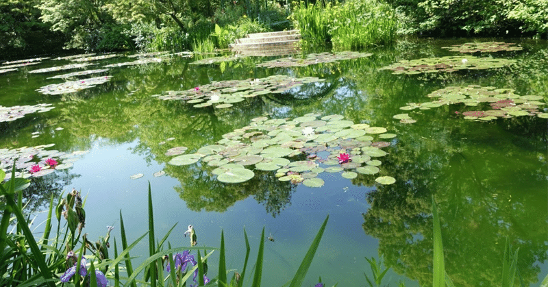 古沢広祐（Furusawa Koyu）｜note