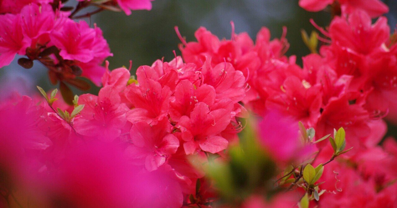 5月4日 #1064｜unico｜note