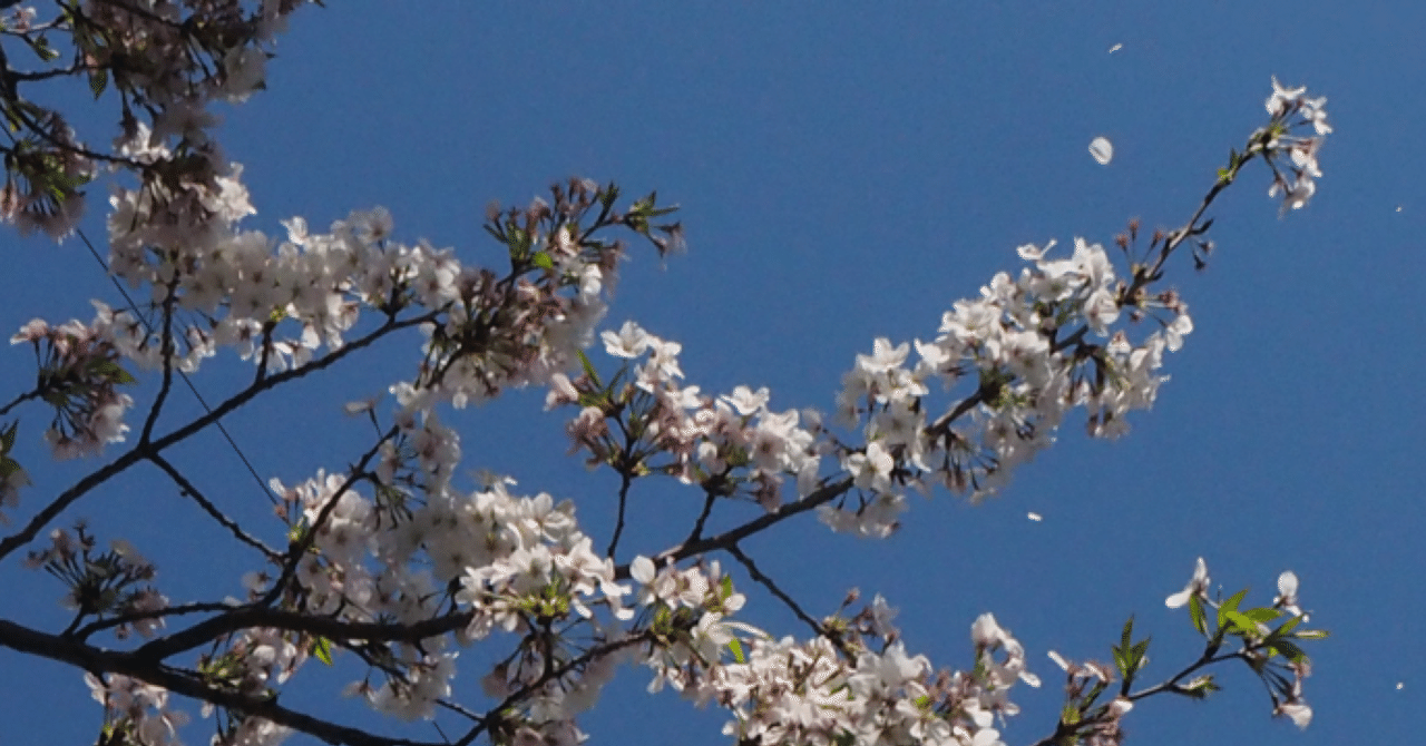 はじめまして、murakawaです。｜murakawa