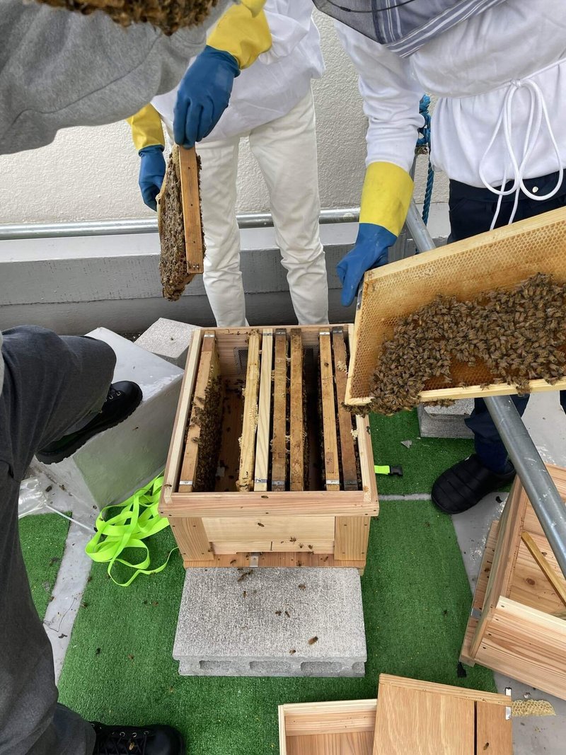 週末は天気が悪い【養蜂生活747日目】｜yabusan（823）