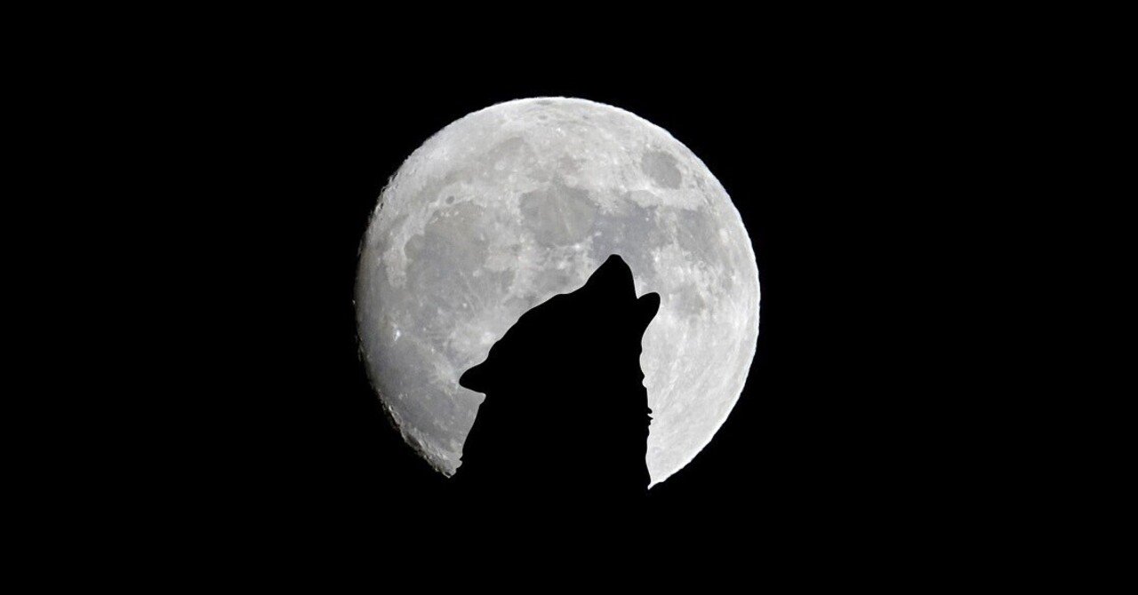 向日町競輪1r2r3r競輪予想買い目展開予想初日🌃｜dai競輪予想🐺｜note