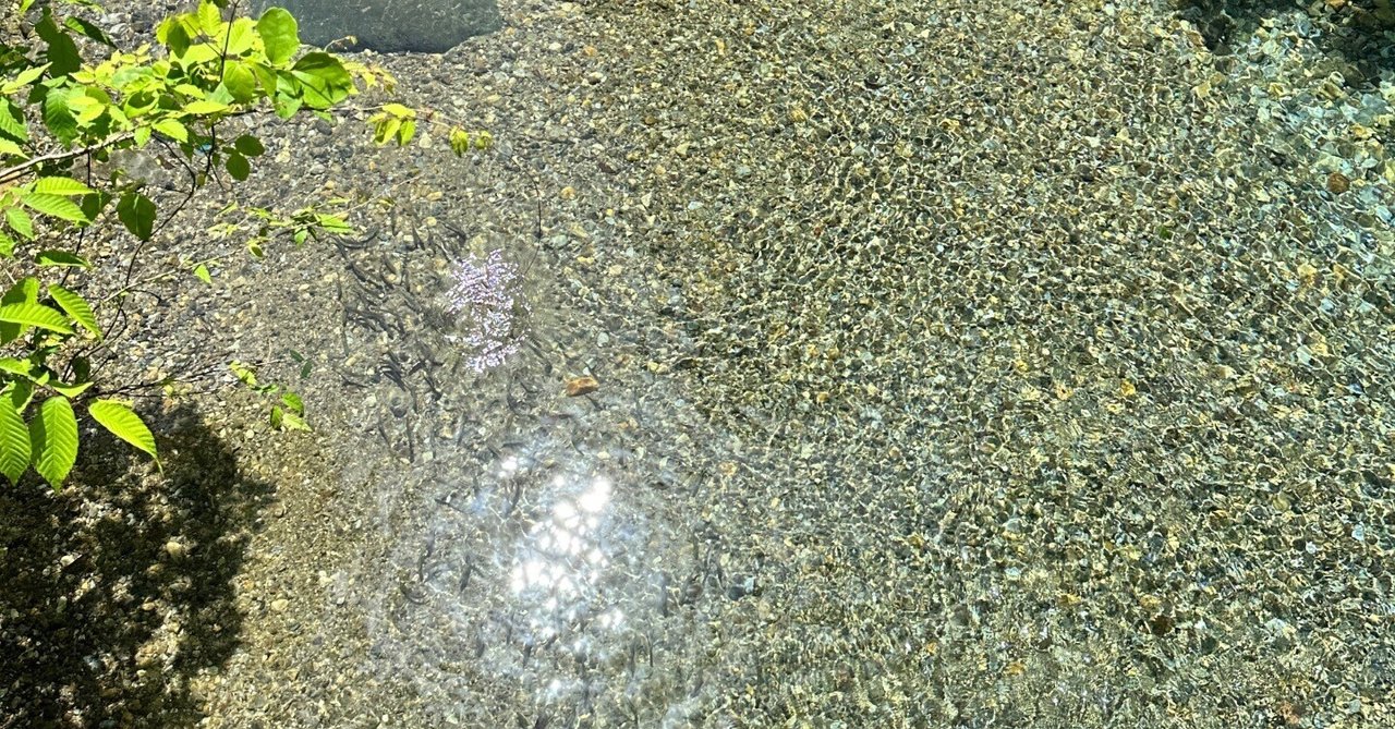 「優しい人」｜Chie coco