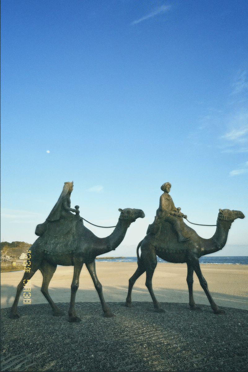 海旅｜sumire｜note