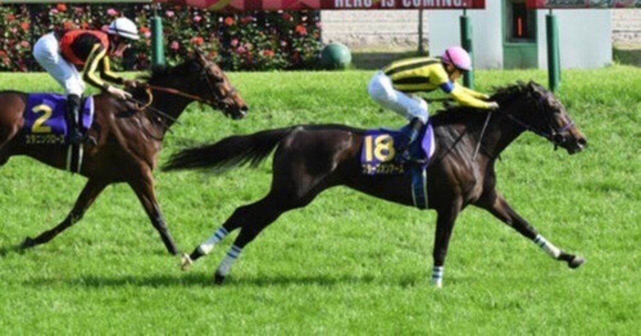 【2023 優駿牝馬～オークス（g1）】日刊馬番コンピ指数分析予想篇｜haya