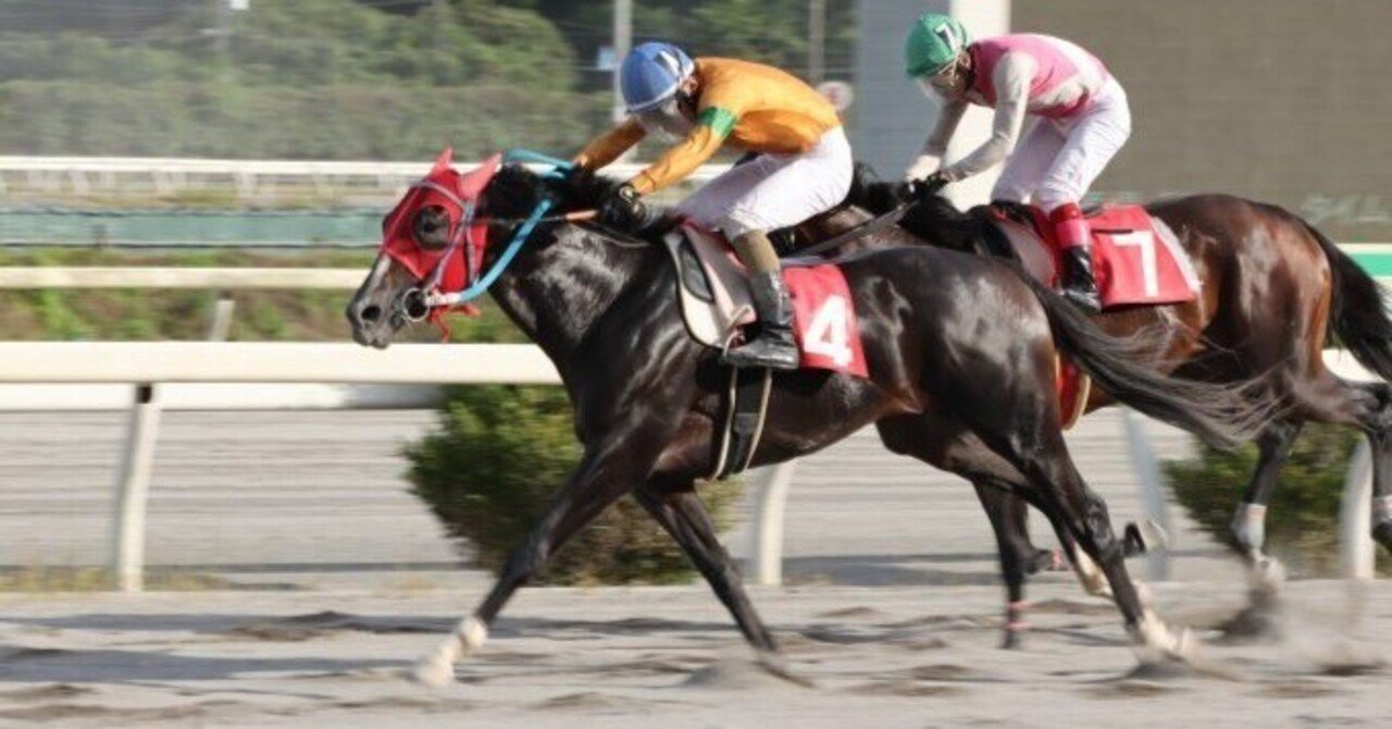 5/5 園田7R 17:35 C2一4歳以上｜20号｜note