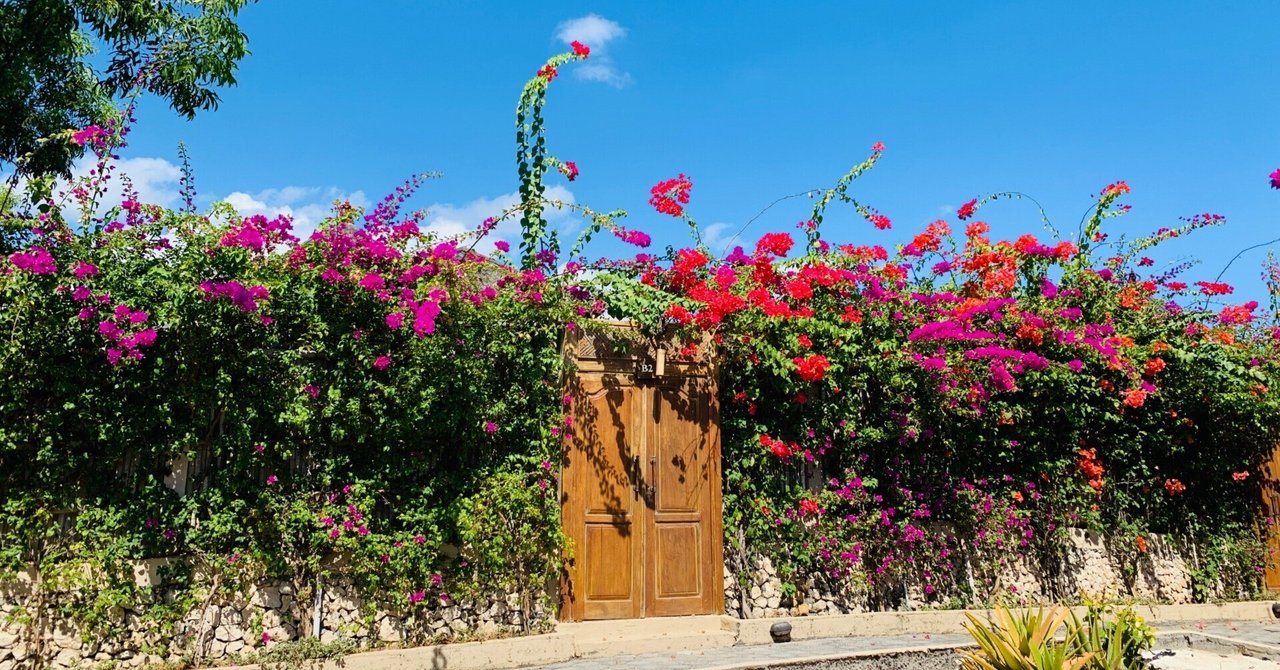 前世リーディング、上達までの道｜Chiaki Kamuki