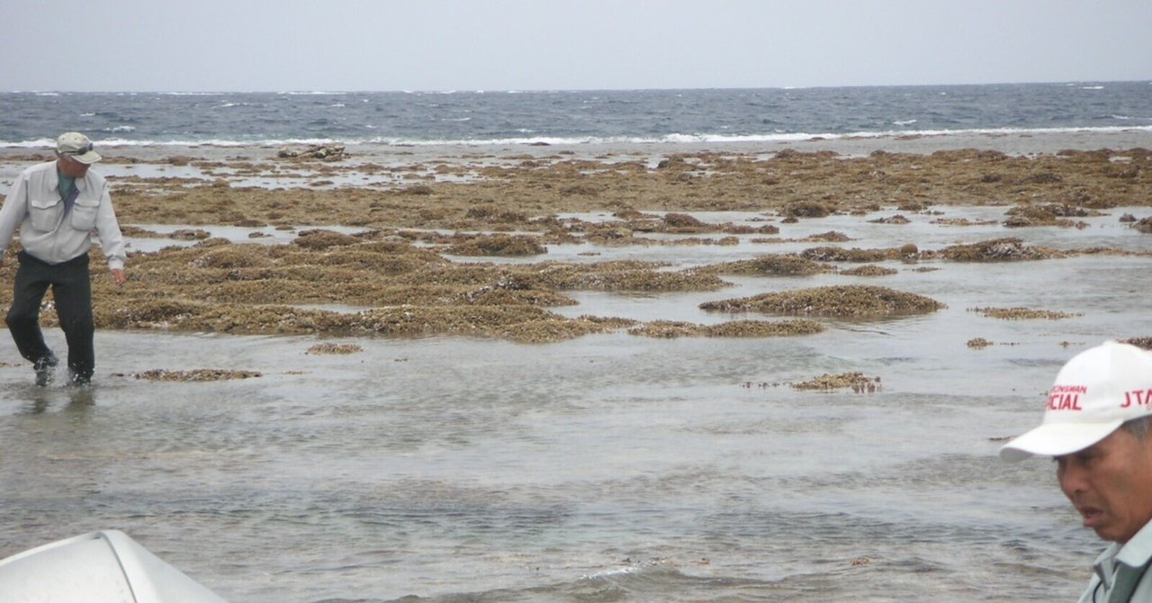 八重干瀬(やびし) 海底の宝島｜Emeru