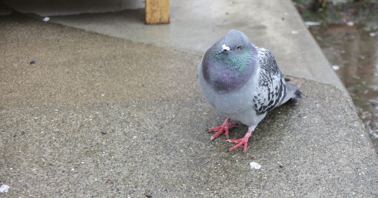 一人で生きていけるけど、でも。｜イユ-iu｜note