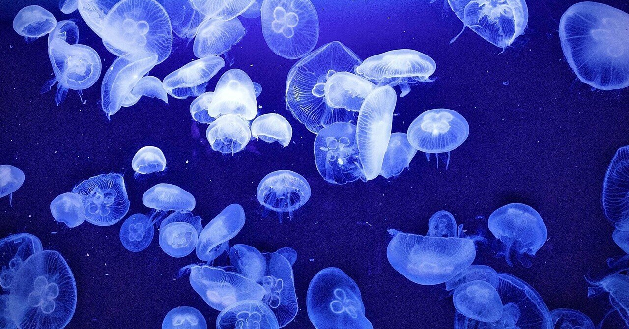 生きてるだけで充分｜yuu_mitsuki