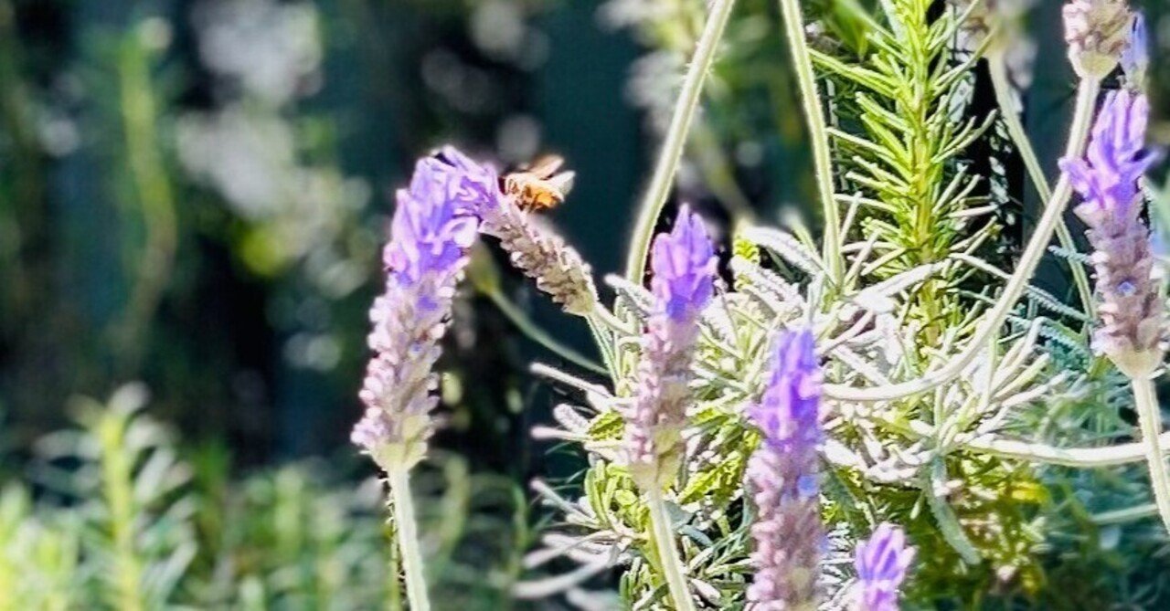 【詩】薬指｜ayano_leizen 冷泉文野