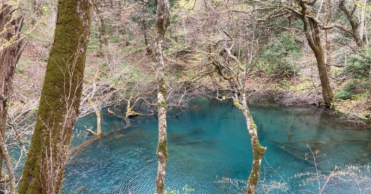 列車で春を追いかける旅②（白神山地と淑女出合い編）｜tittya