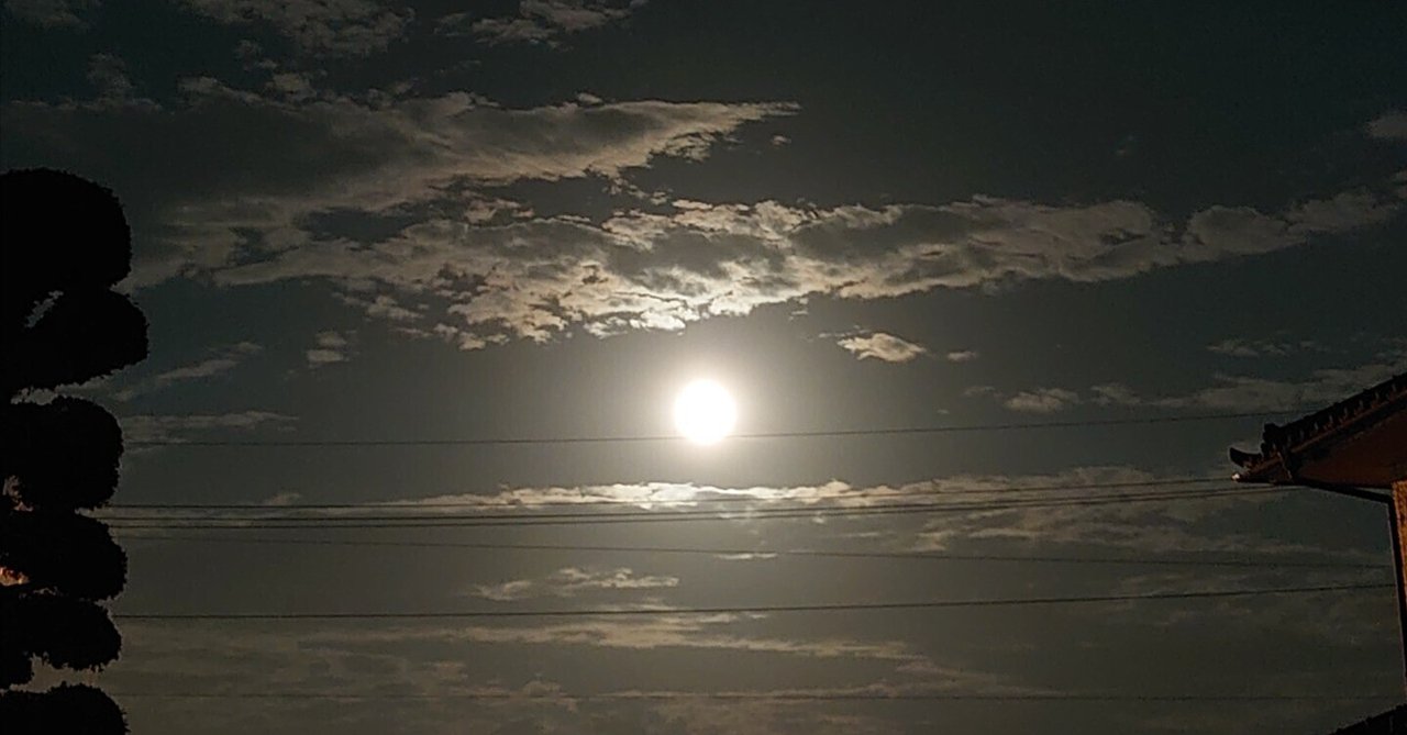 ＊5/6、月。｜sola.｜note