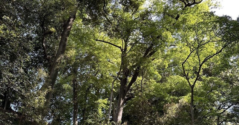 体幹と神経発達(軽度知的障害)｜kosodate_handi