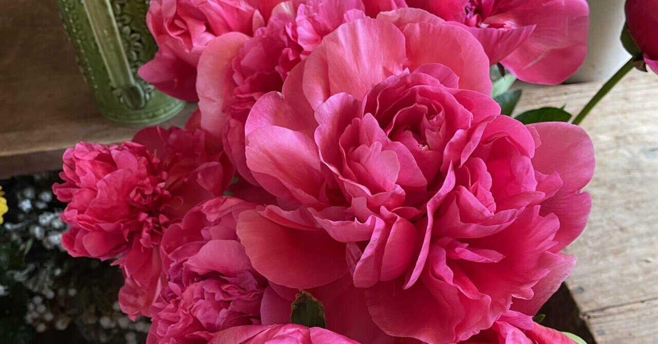 はながすきすぎる リョウブが爽やか｜花屋KONOHA