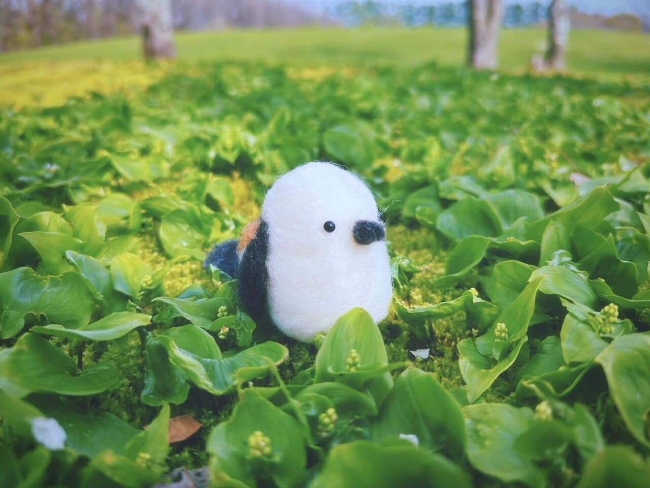 今日はGW最終日。名残惜しいですね😌 筆者は本日、中札内の六花の森（坂本直行記念館）に行ったと思ったら、間違って美術村の方に行ってしまう根本的なミスを犯してしまいました💦 これじゃ企画倒れ💦 ...