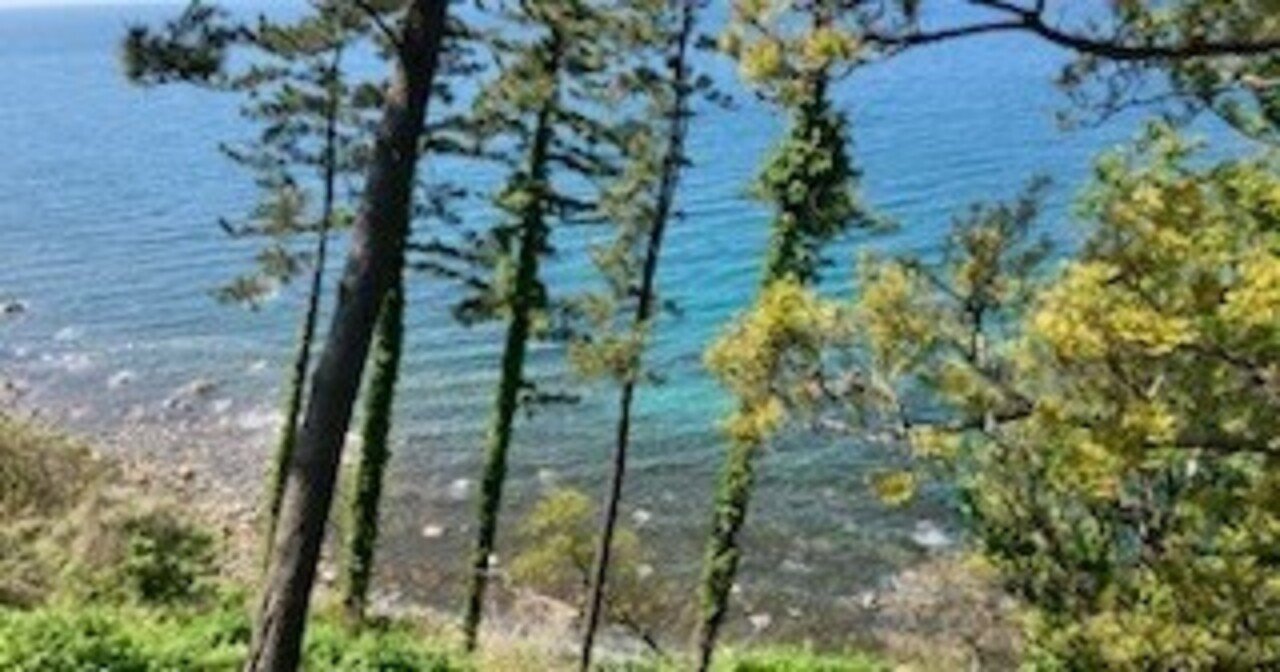 能登半島へ｜haco