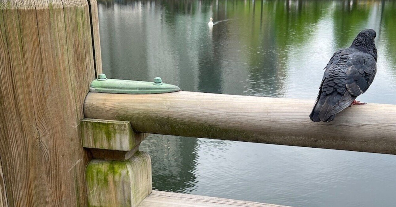 丸の内カイワイPhotos No.116｜happea-nyanko