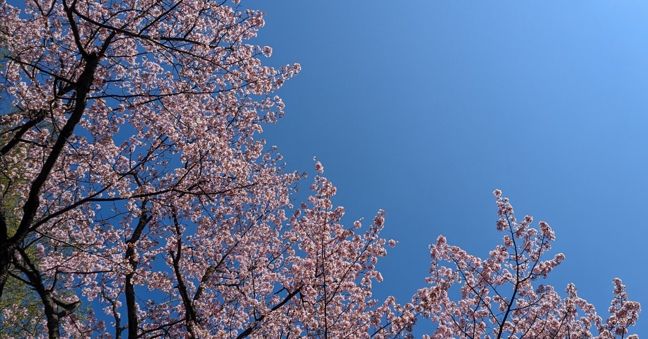 TypeScript 入門の記録（52）プロを目指す人のためのTypeScript入門（36）関数の型（2）｜jnkykn