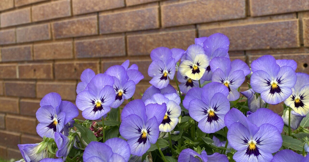 ととのいました｜maco｜note