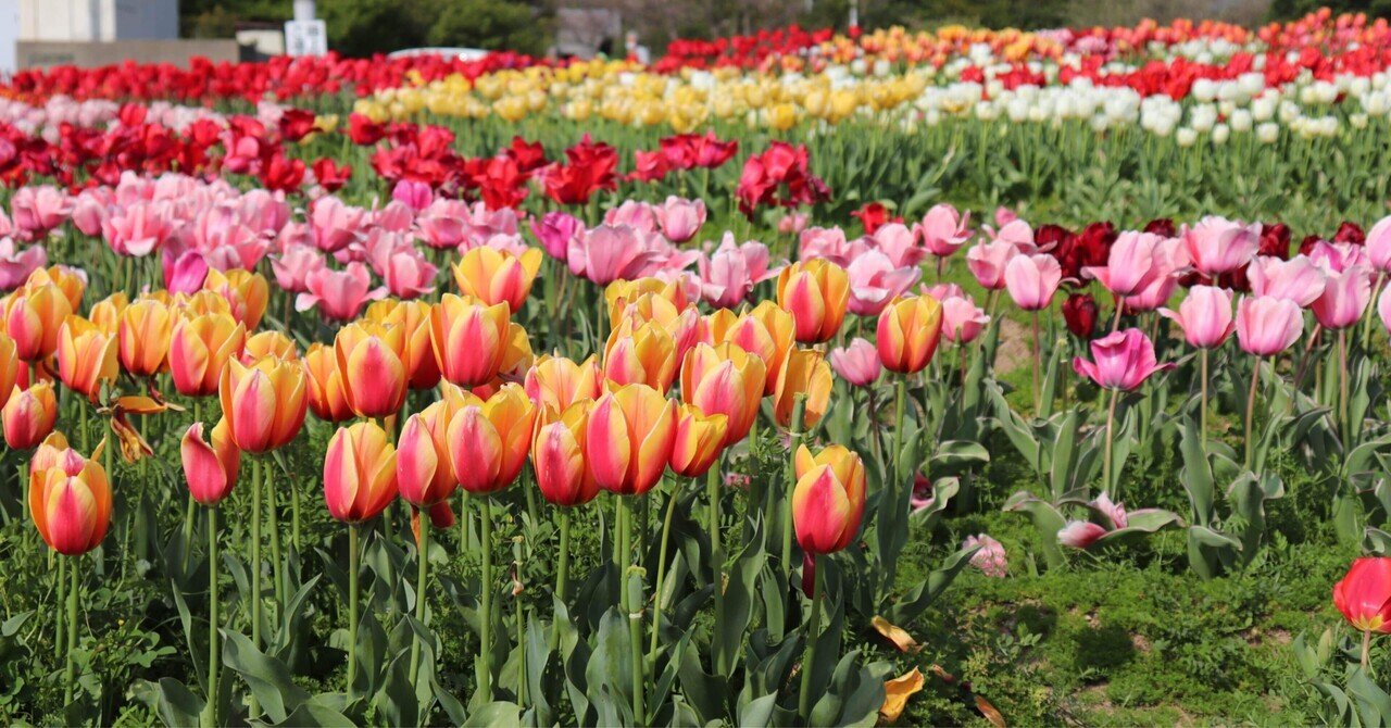 早すぎる、、、｜azuki