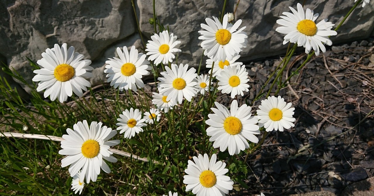 奇跡講座WB実践308 この瞬間が、存在する唯一の時間である｜(Linp&Ruru)本当の自分を知り、本当の自分として生きる