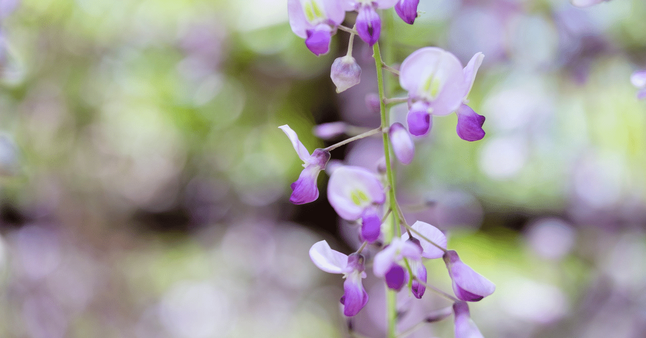 情報を入れないほうがイイこともある～死ぬときに後悔しない1つの方法～｜Ryosuke Matsusima