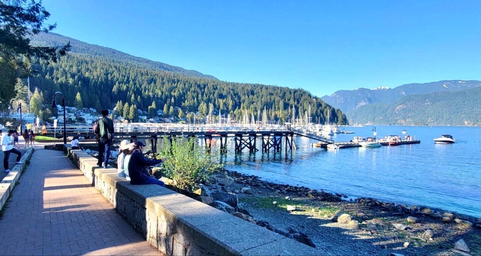 神野志保 | Shiho Jinno｜note