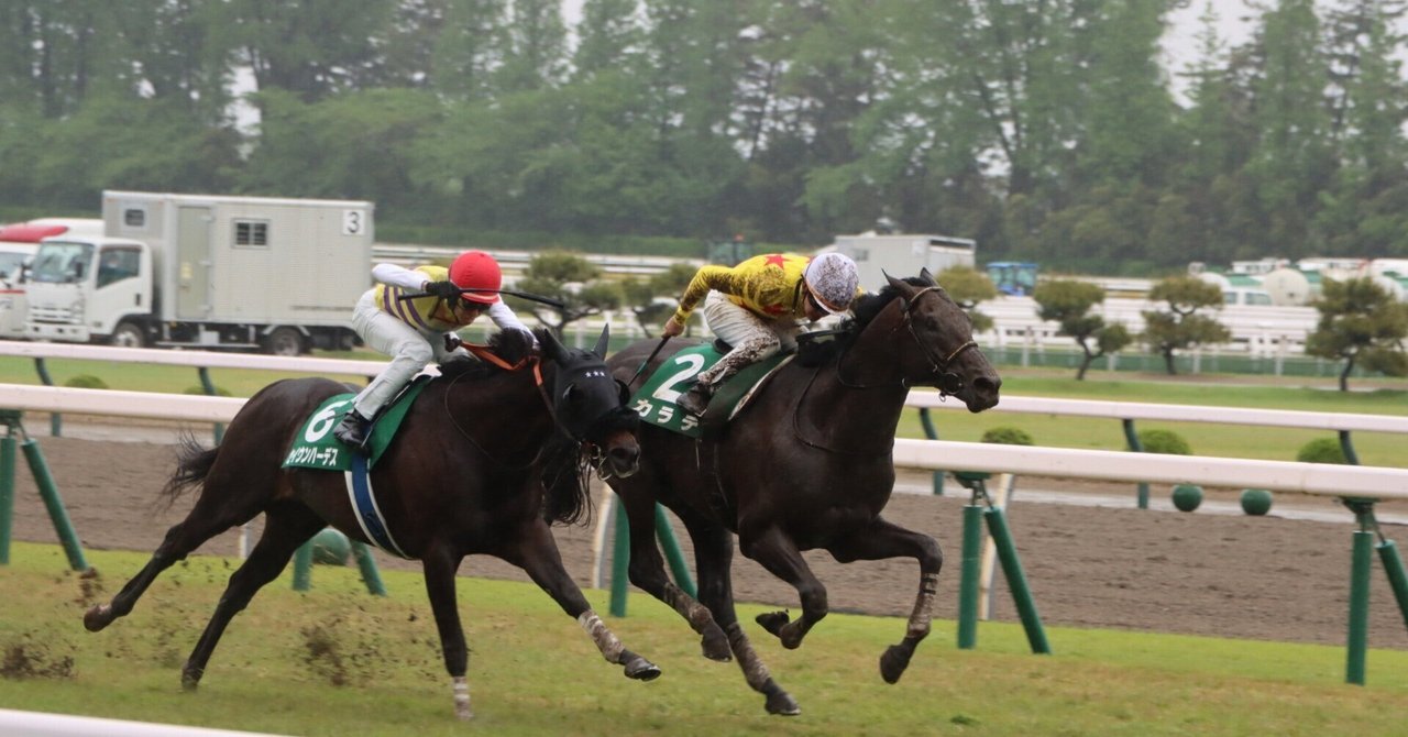【新潟大賞典（g3）回顧～その先へ】日刊コンピ篇｜haya｜note