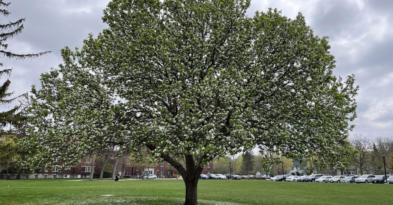 5/8/2023｜Mizuki Fujiwara