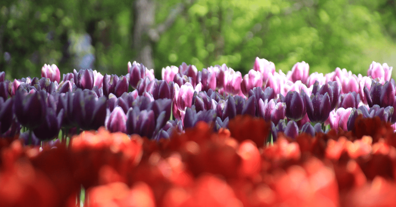 【転載】難民申請中の送還停止の例外規定を封じた東京高裁判決～入管法改定案再提出は無理筋入管法改定案に「送還停止効例外規定」が盛り込まれれば東京高裁判決に違反｜koichi_kodama