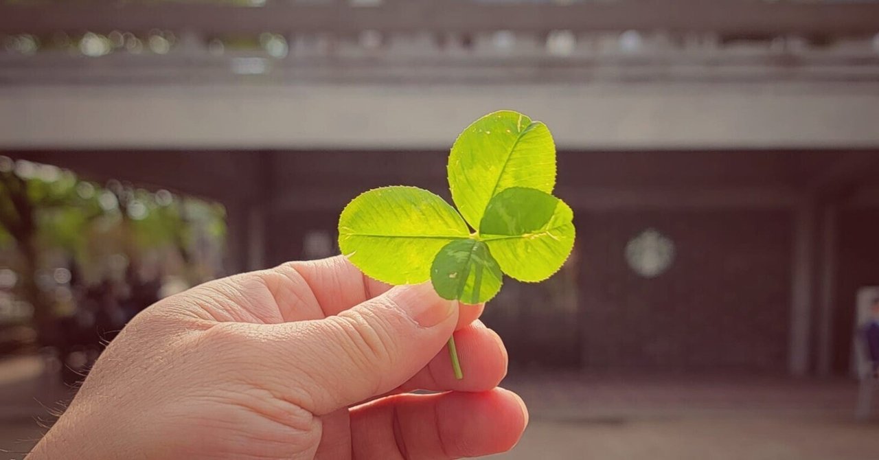 datag第二創業期を迎えて｜datag株式会社