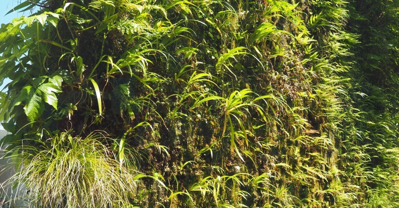 造園設計で気をつける事①｜Tomoki Inoue