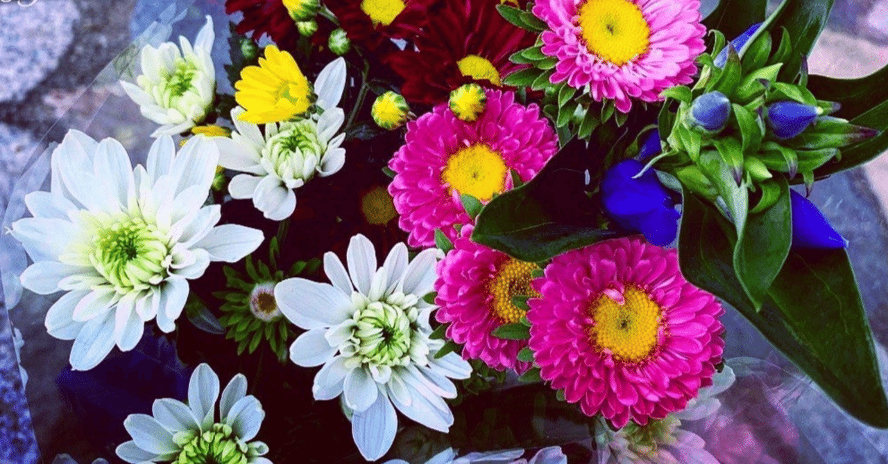 『ファミリーヒストリー』調べに魅せられて/①GW編｜nanako K