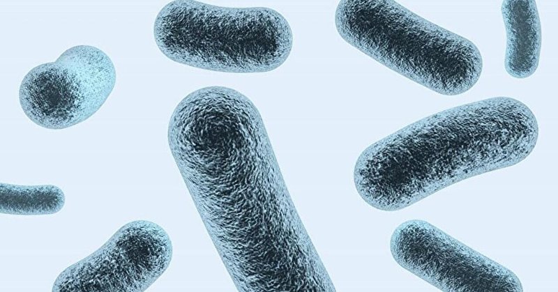 レジオネラ菌感染予防の強力な武器!オゾンの効果と活用法|オゾンの取扱説明書