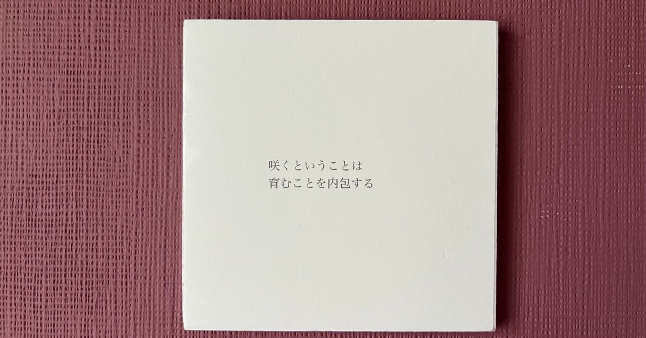 hanasakihagukumu｜misono marin