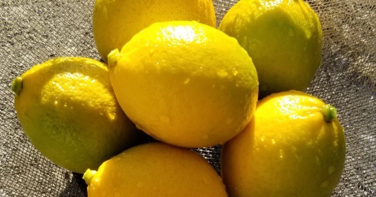 レモンの収穫｜ryoko