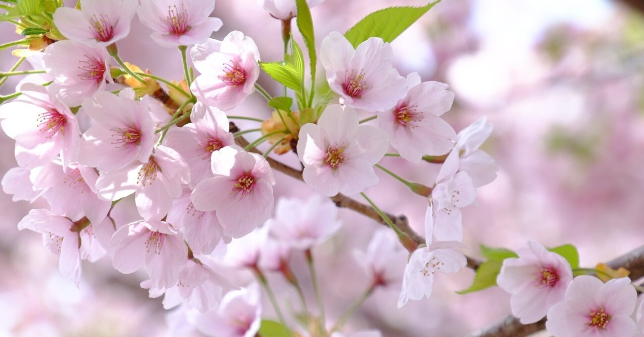 2023年GW・旅人日記 2｜tabito