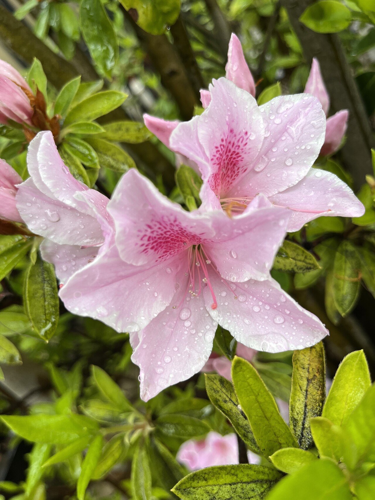 『どんなことにも教訓はある。君がそれを見つけられるかどうかさ』 ルイス・キャロル氏の言葉 何をするかはそれほど問題では無く、 どちらかといえば、そこから何を学ぶか。｜Ryosuke Matsusima