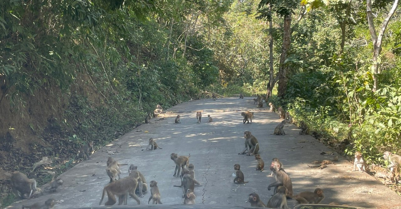 ㉘ミャンマーを俯瞰する旅、第八弾：ヤンゴン市内（Japan Pagoda、Hlawga National Park、Htauk Kyant ...