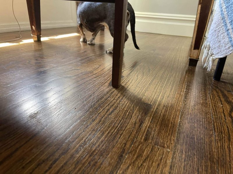 プチDAYS「ラジオを始めるその前に」｜SENRI OE 大江千里