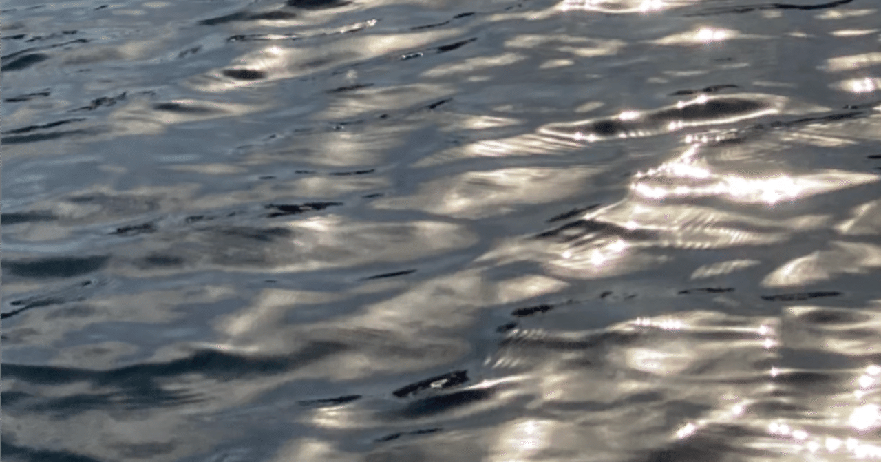 nemui.nemui...zzz｜ぴょんた！