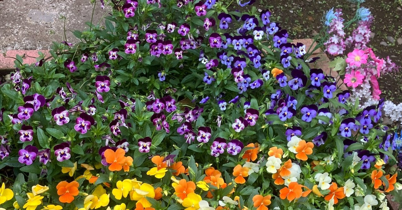 ふと・・・思う｜poporin