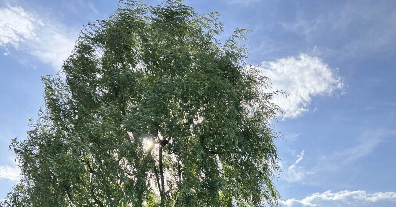 本を読むこと｜Rinka