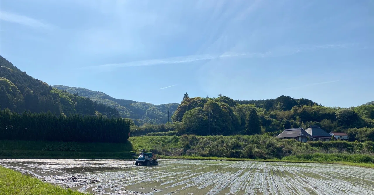日記 令和5年5月12日金曜日（旧暦弥生廿三日） 一日中田植え 温泉 ｜nakano michiko