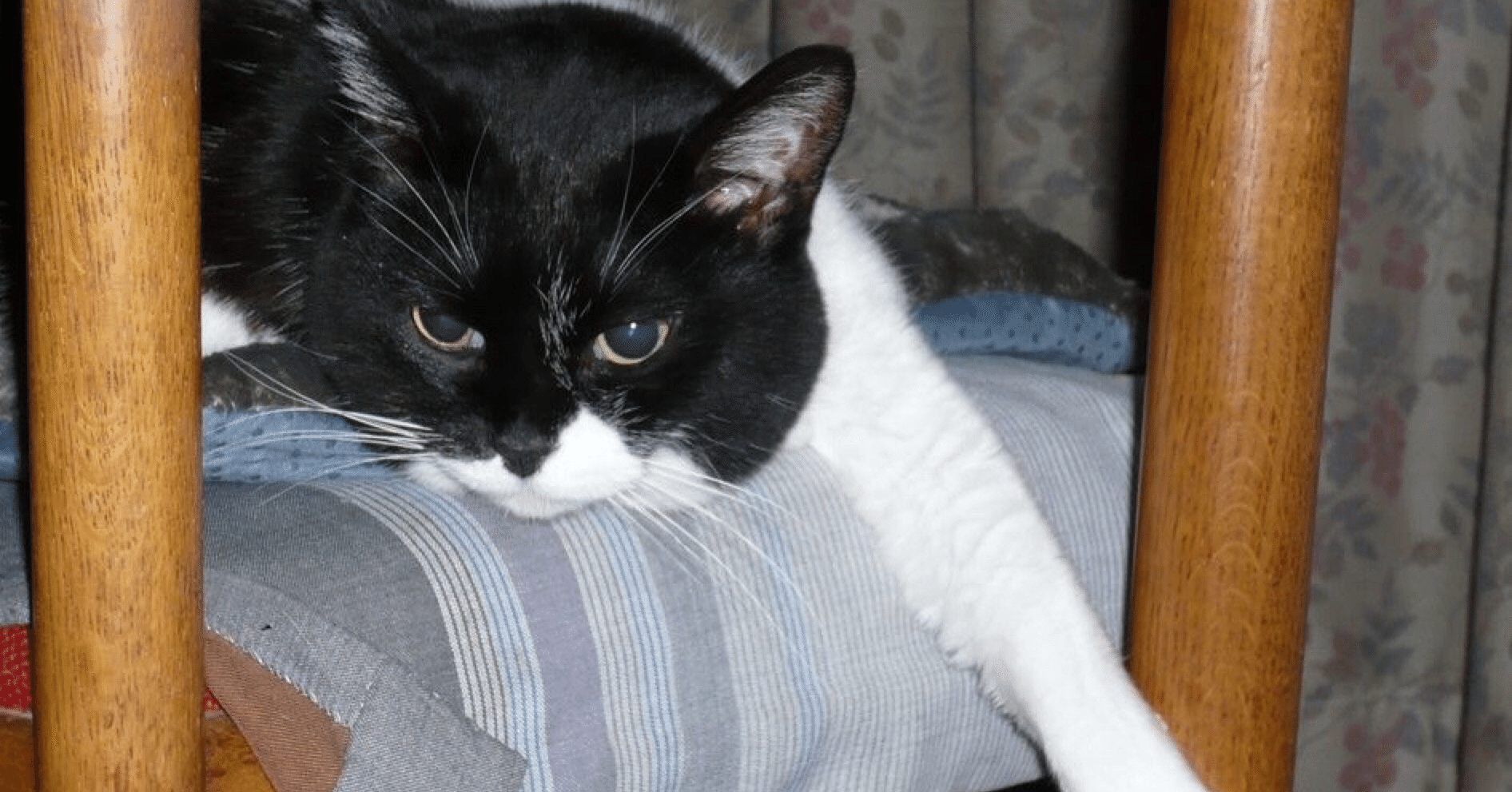 Satoru Suzuki｜note